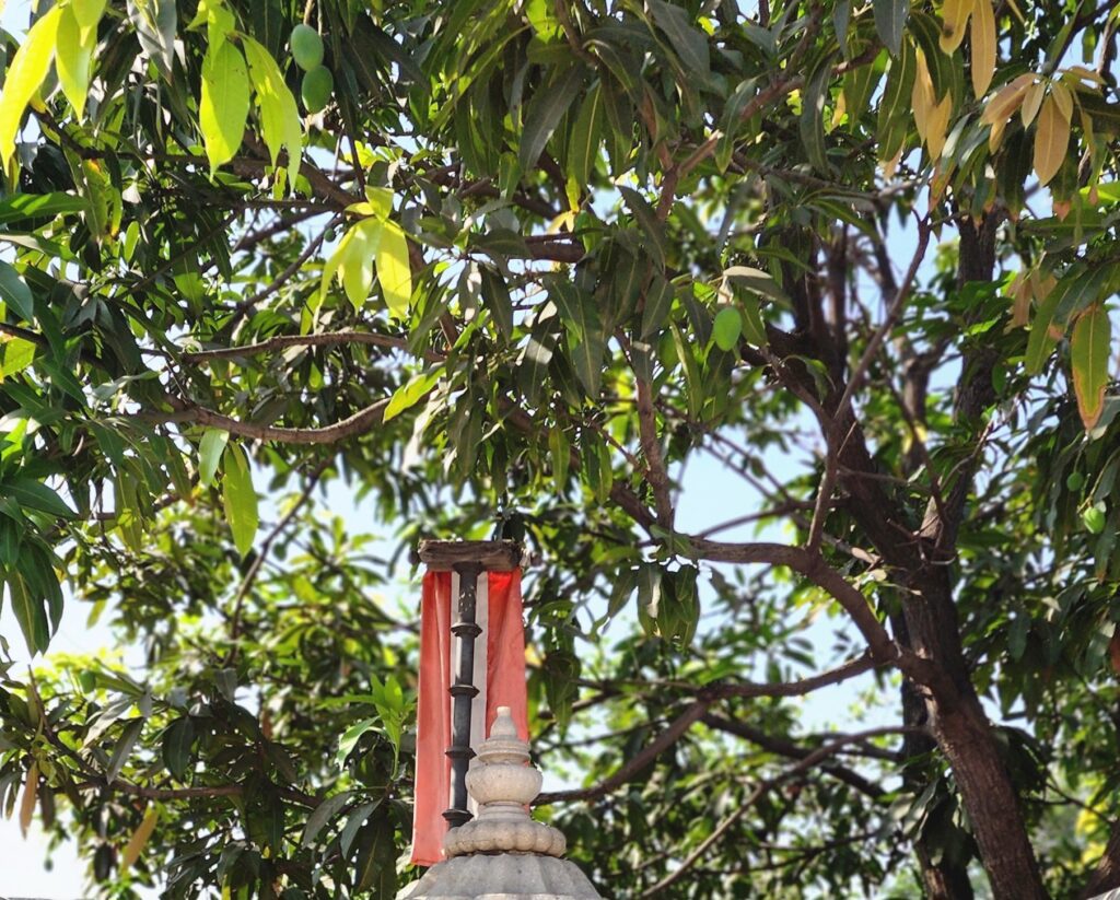 કોલસાની ખાણની વચ્ચે વસેલો ઇતિહાસ : બેરમો - Devardhi